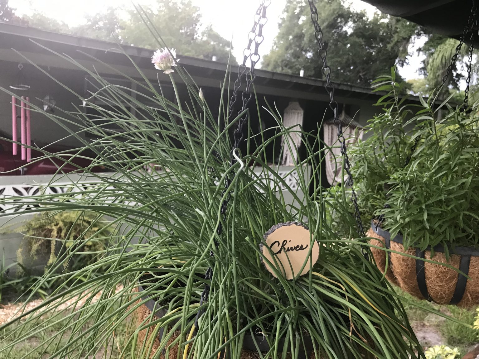 Herb And Parmigiano-Reggiano Cheese Mini Potato Stacks - Let's Dish ...